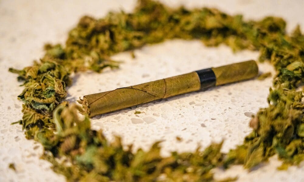 Rhode Island Marijuana Dispensary License Application Process Officially Launches - Marijuana Moment